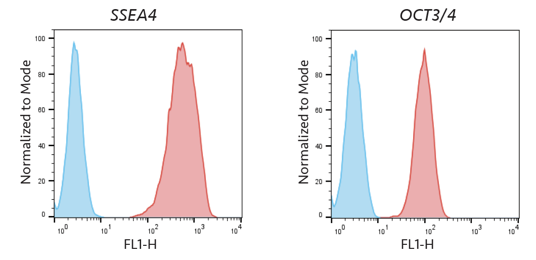 iMatrix-511MG | マトリクソーム