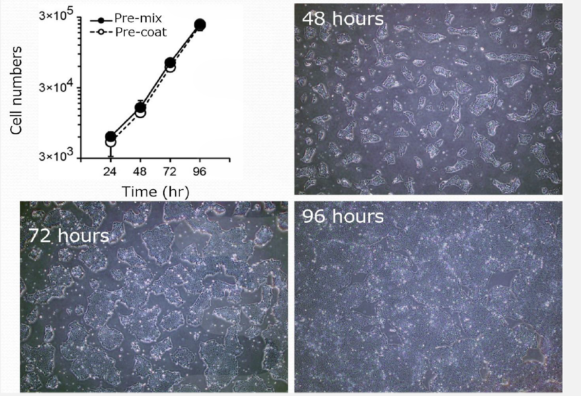iMatrix-511 | Lineup | マトリクソーム